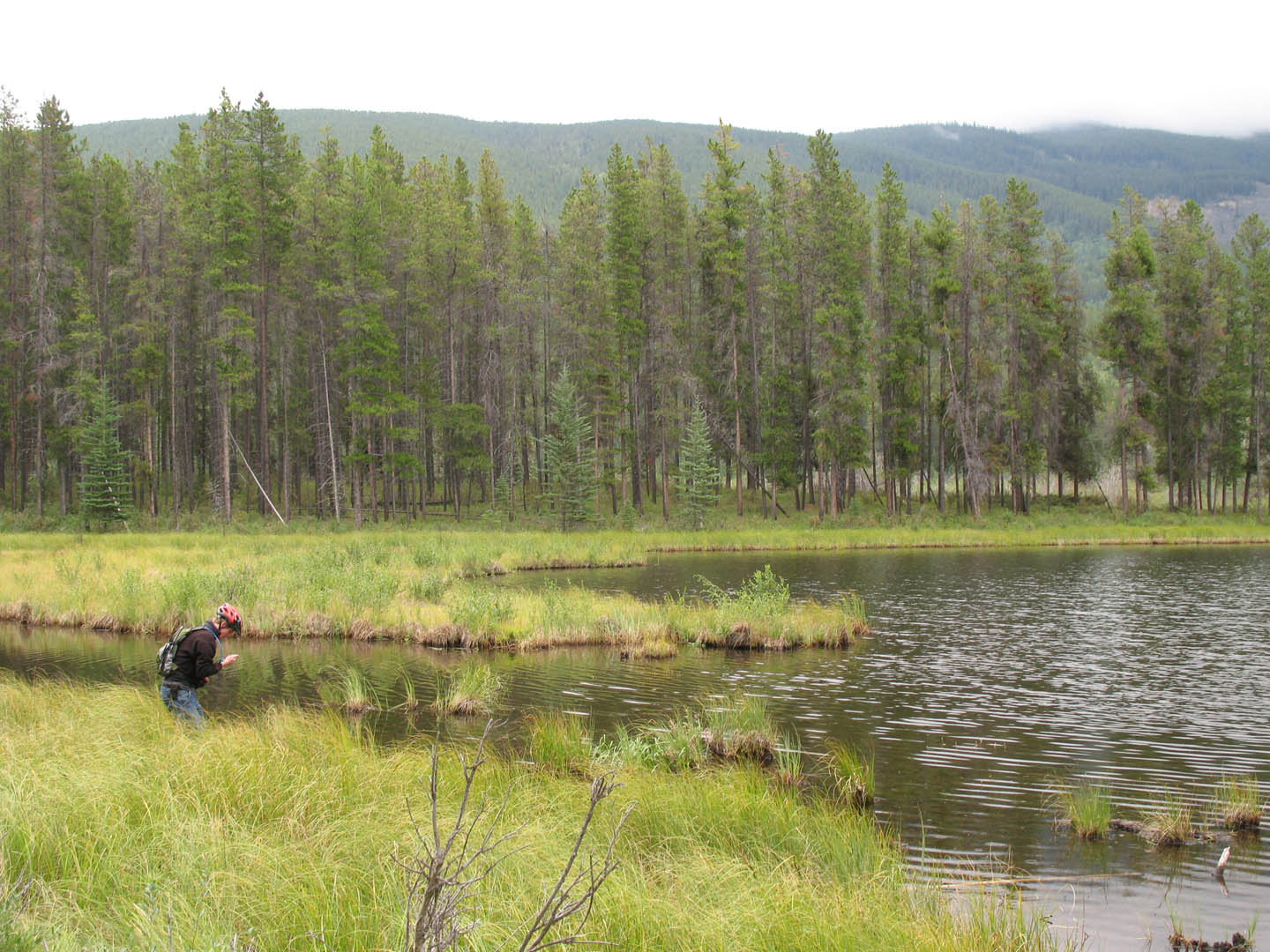 Biking Keith Lake | All about Jasper National Park