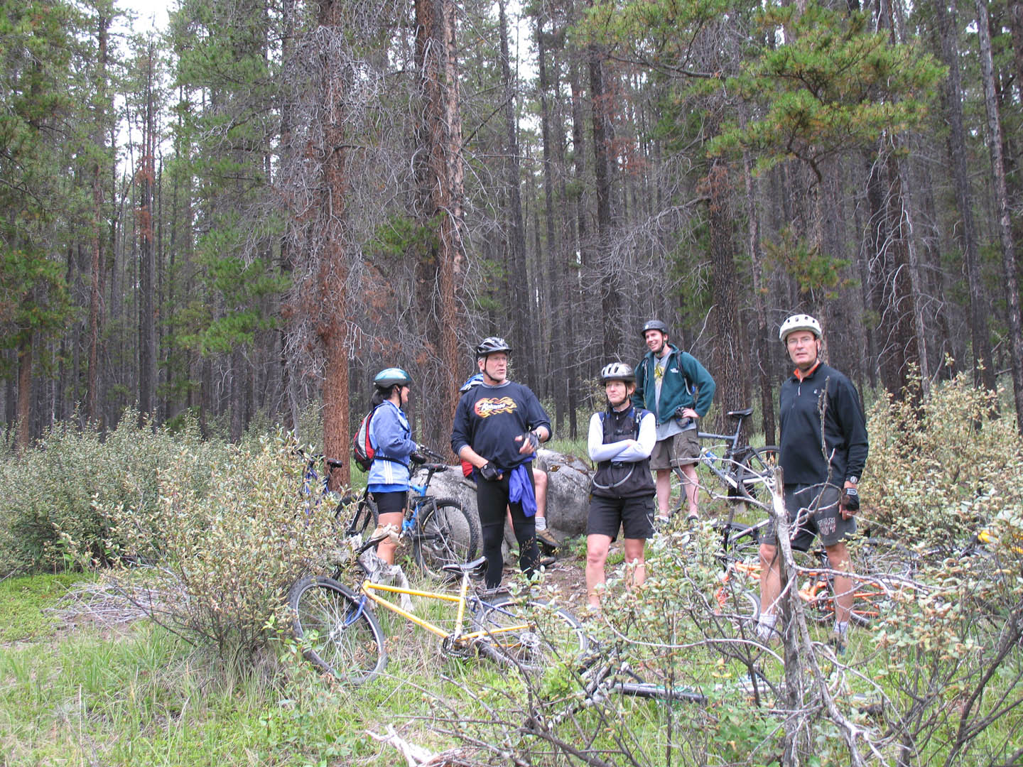 Biking Keith Lake | All about Jasper National Park