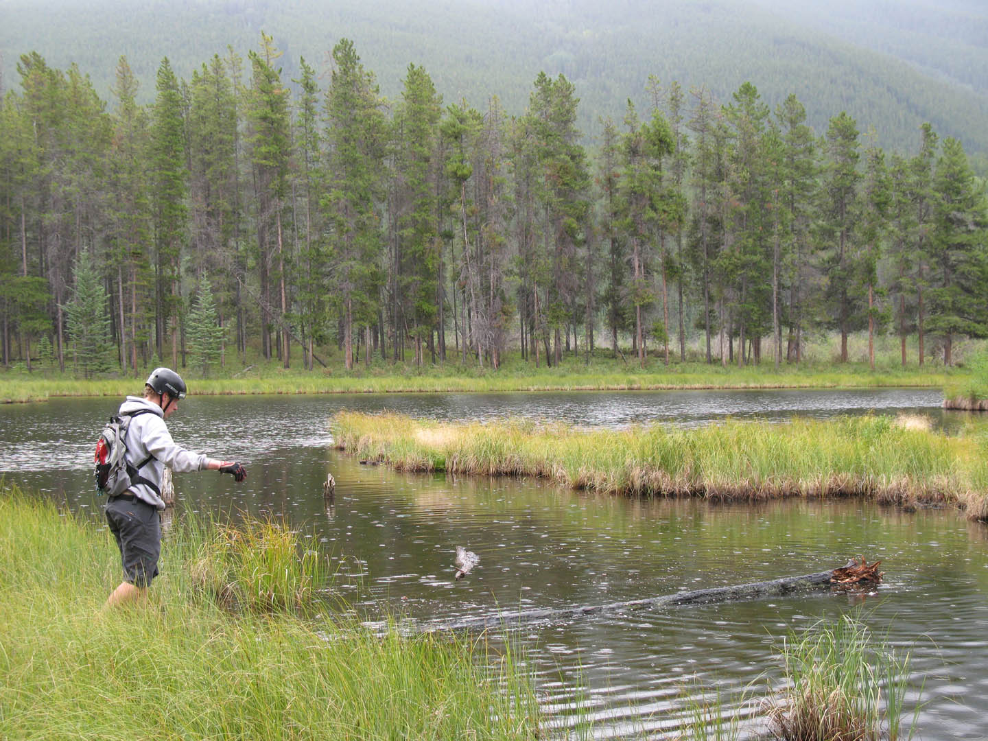 Biking Keith Lake | All about Jasper National Park