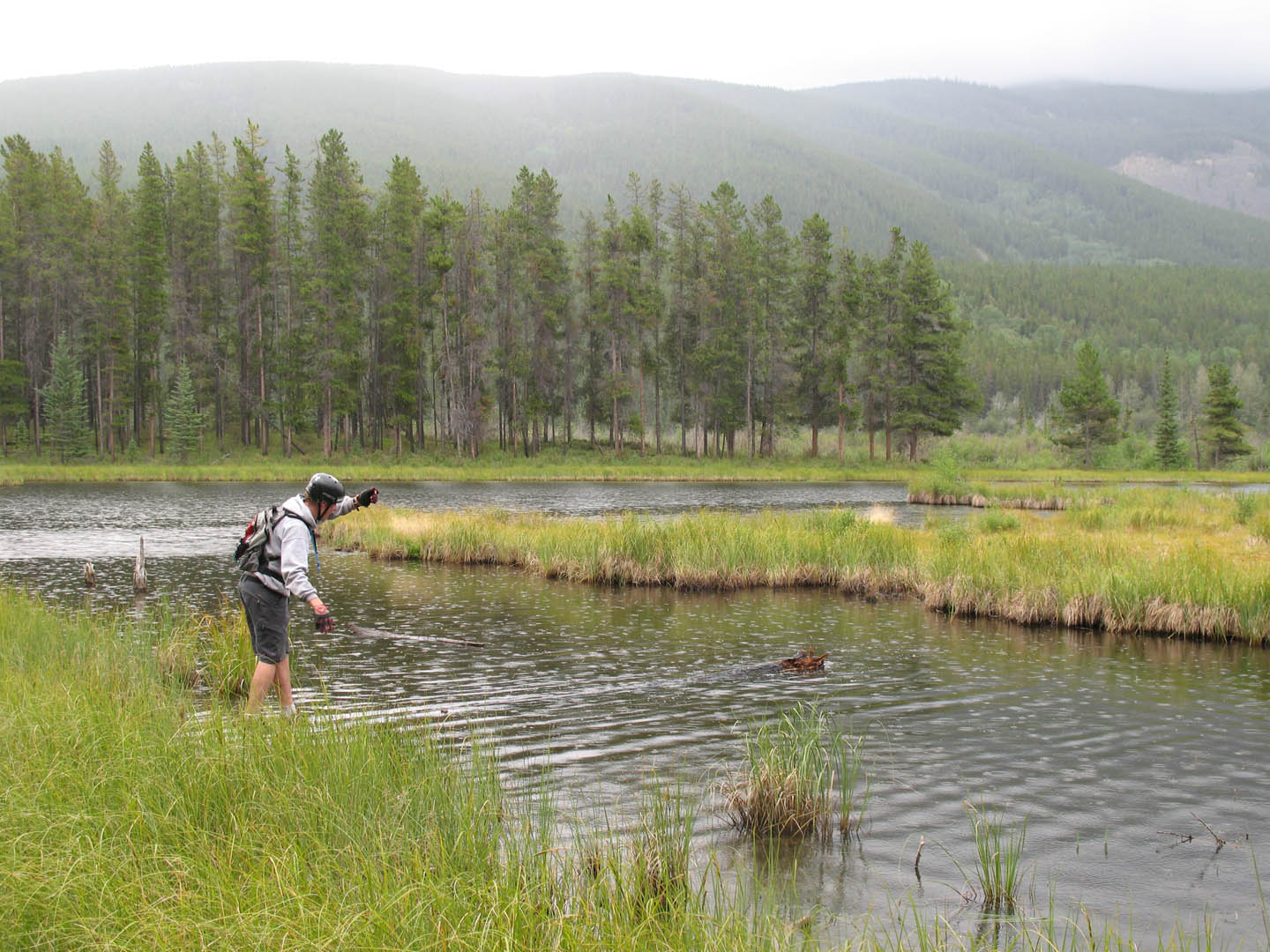 Biking Keith Lake | All about Jasper National Park