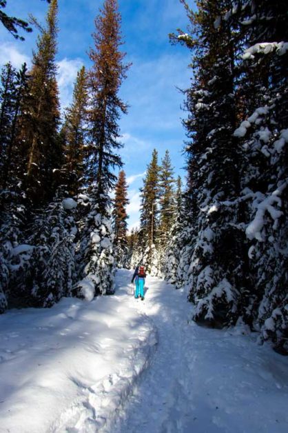 Cross Country Ski – Mary Schäffer Loop | Explore Jasper National Park ...