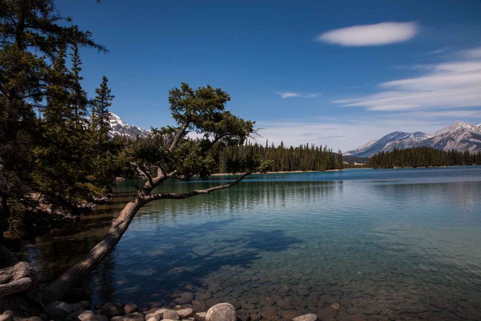Lac Beauvert | Explore Jasper National Park Alberta Canada