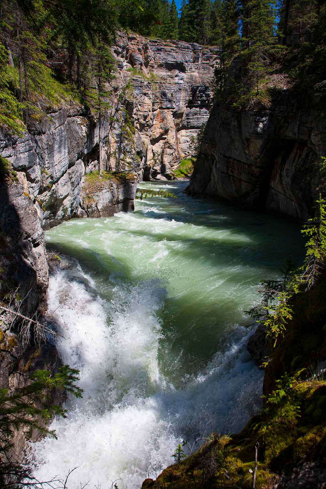 Maligne Canyon Summer | Explore Jasper National Park Alberta Canada