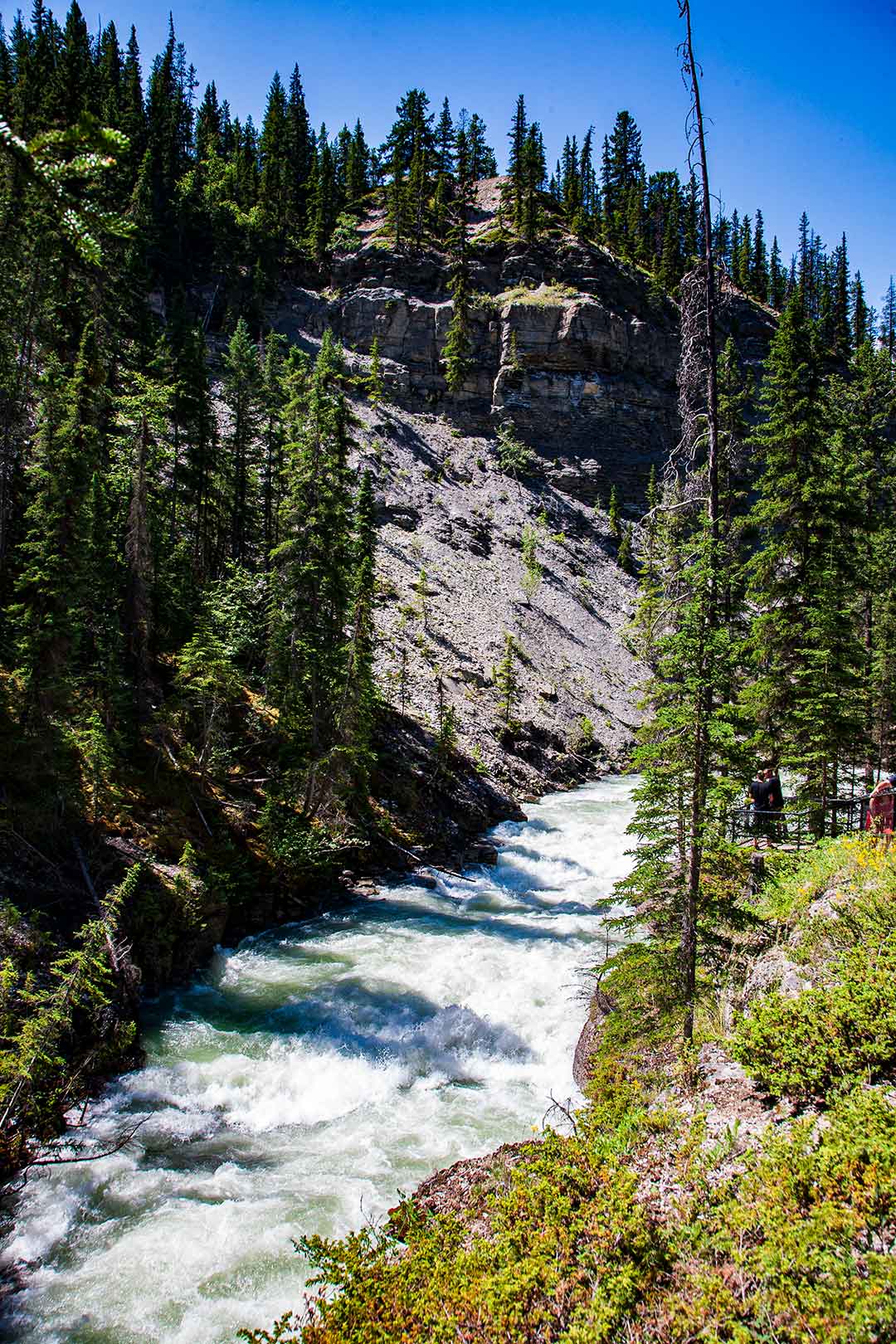 Maligne Canyon Summer | Explore Jasper National Park Alberta Canada