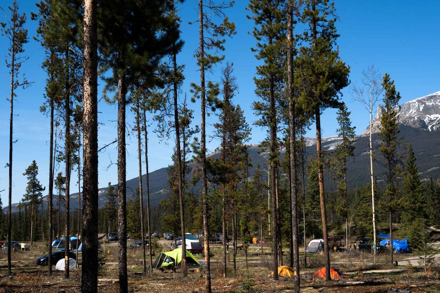 2021 Camping Jasper National Park | Explore Jasper National Park ...