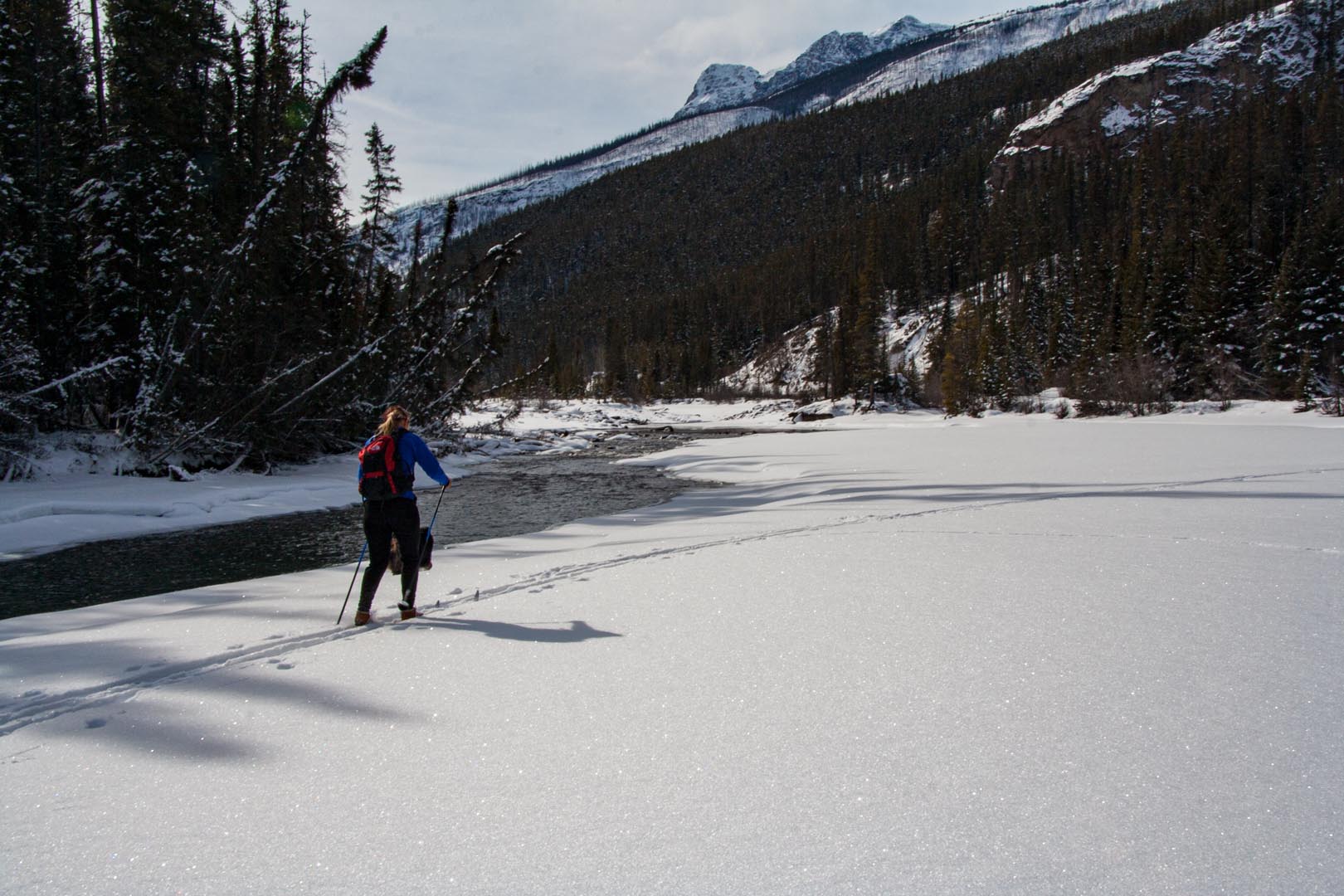 Cross-Country Ski Moab Lake | All about Jasper National Park