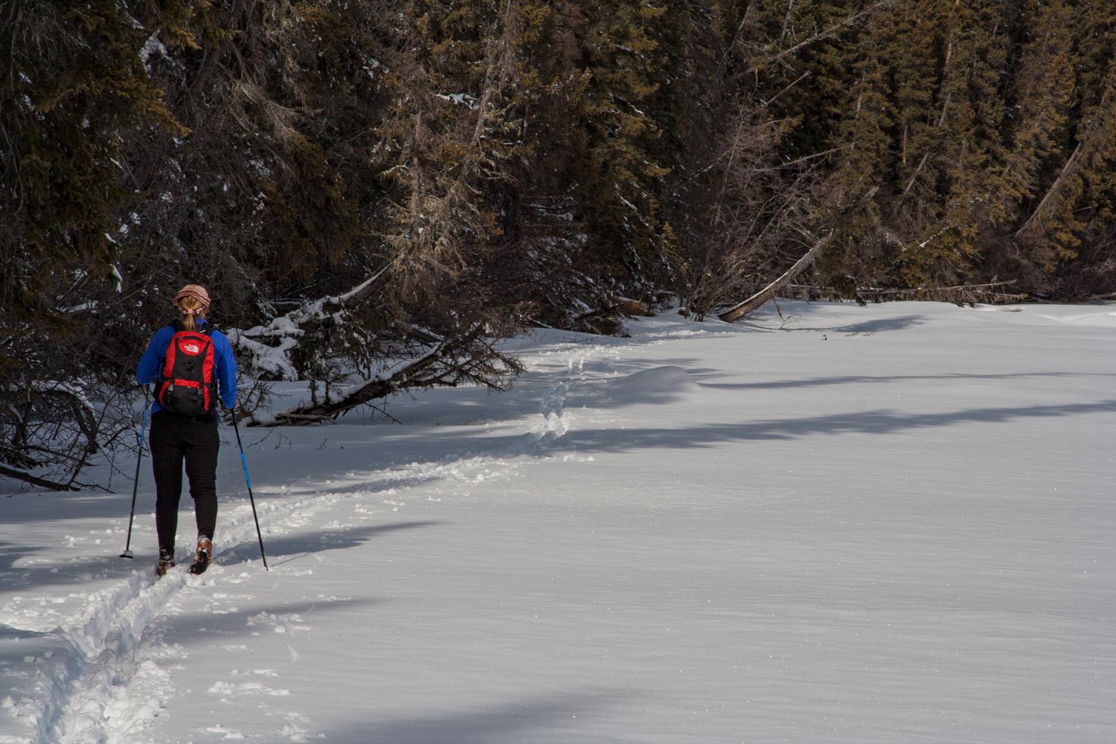Cross-Country Ski Moab Lake | All about Jasper National Park