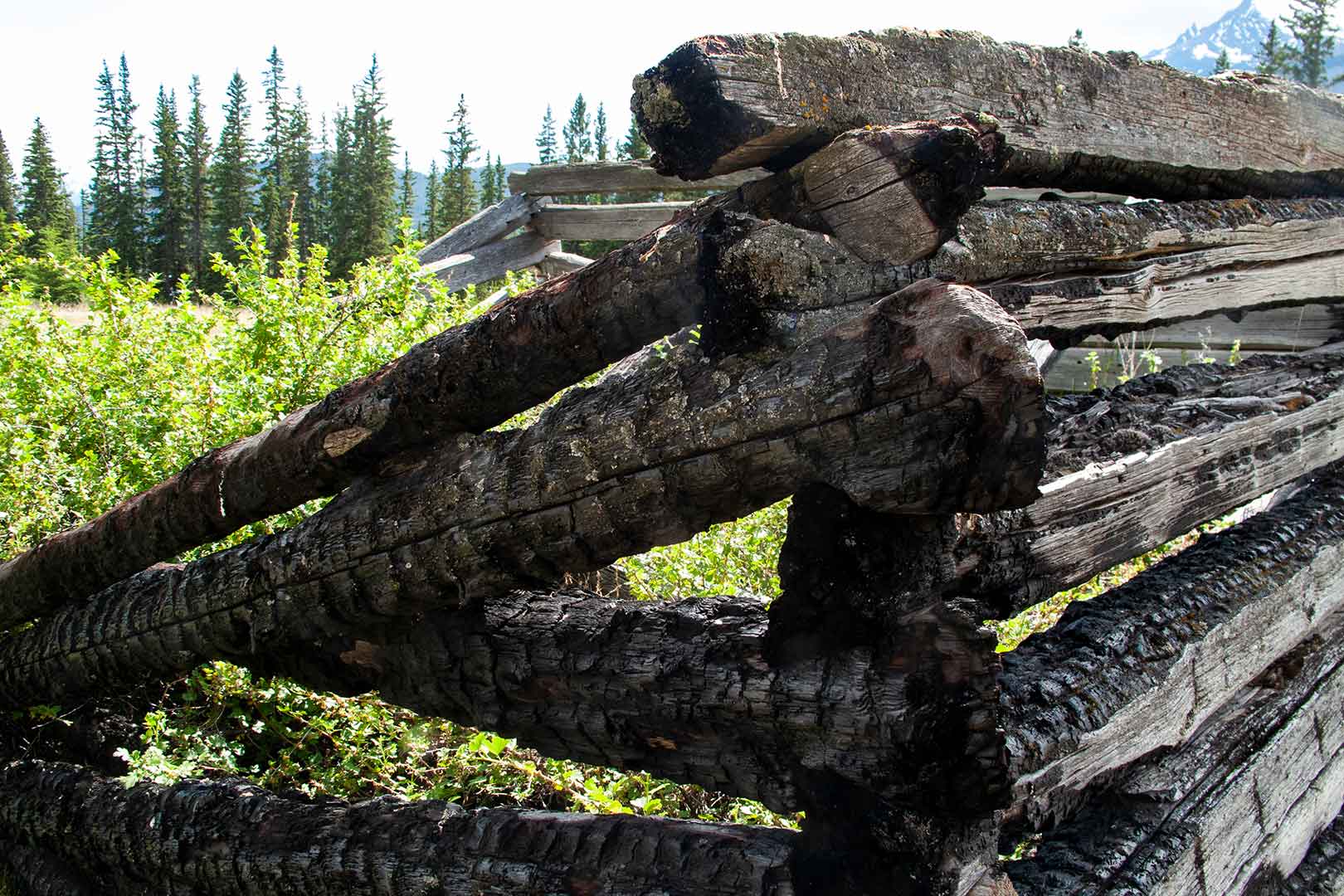 Biking Overlander Trail | All about Jasper National Park