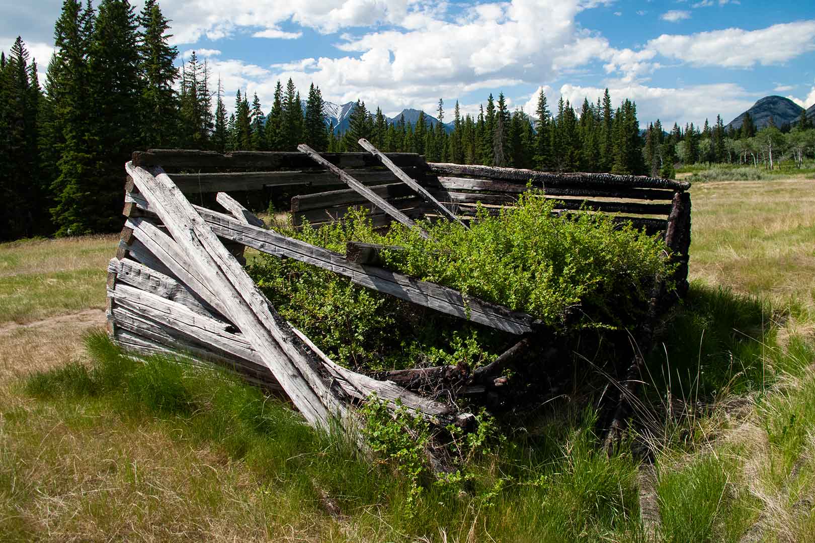 Biking Overlander Trail | All about Jasper National Park