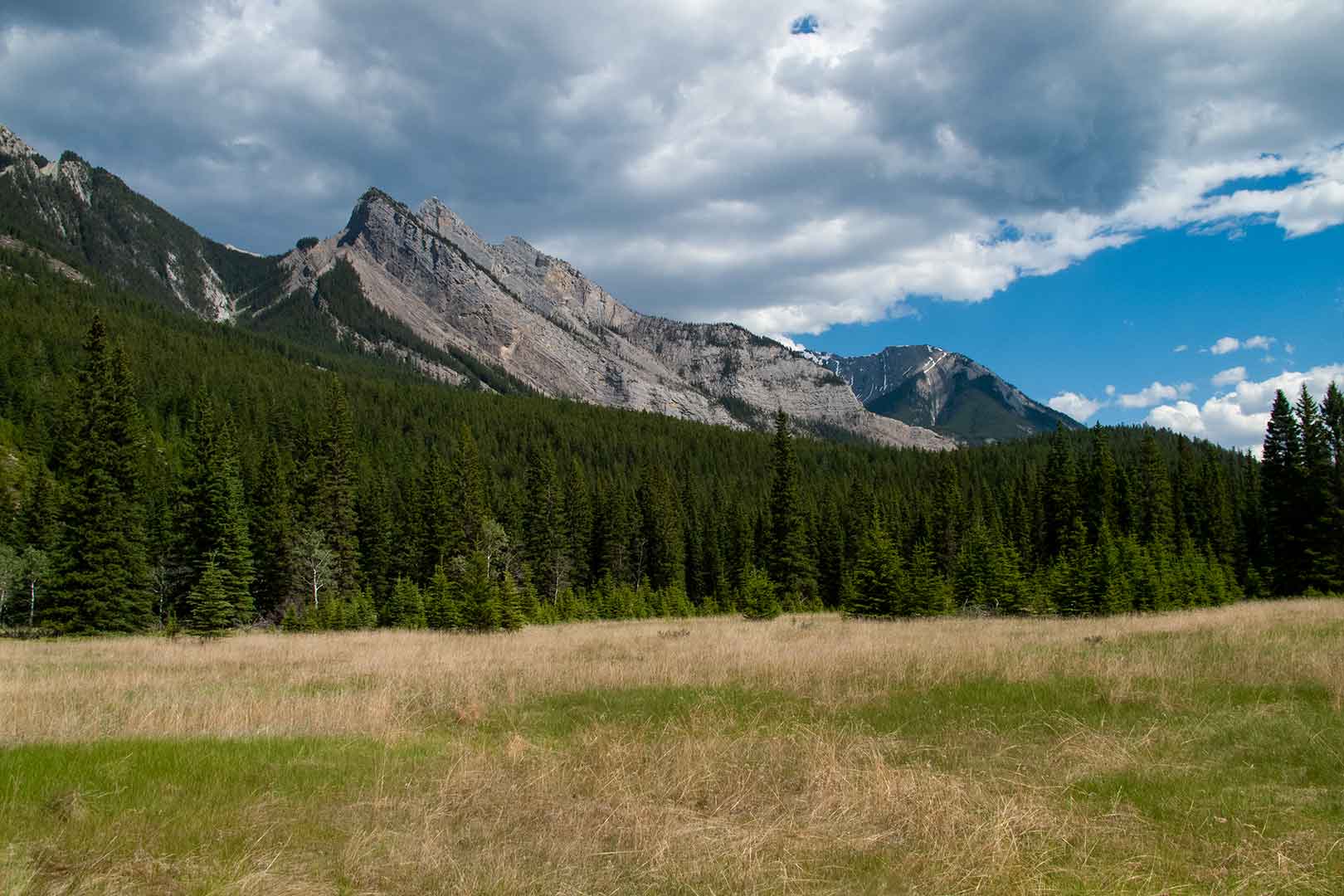 Biking Overlander Trail | All about Jasper National Park
