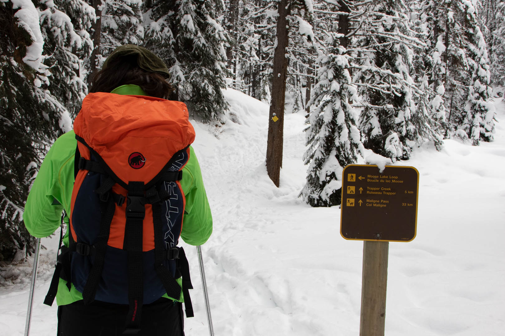 Skiing Activities | All about Jasper National Park