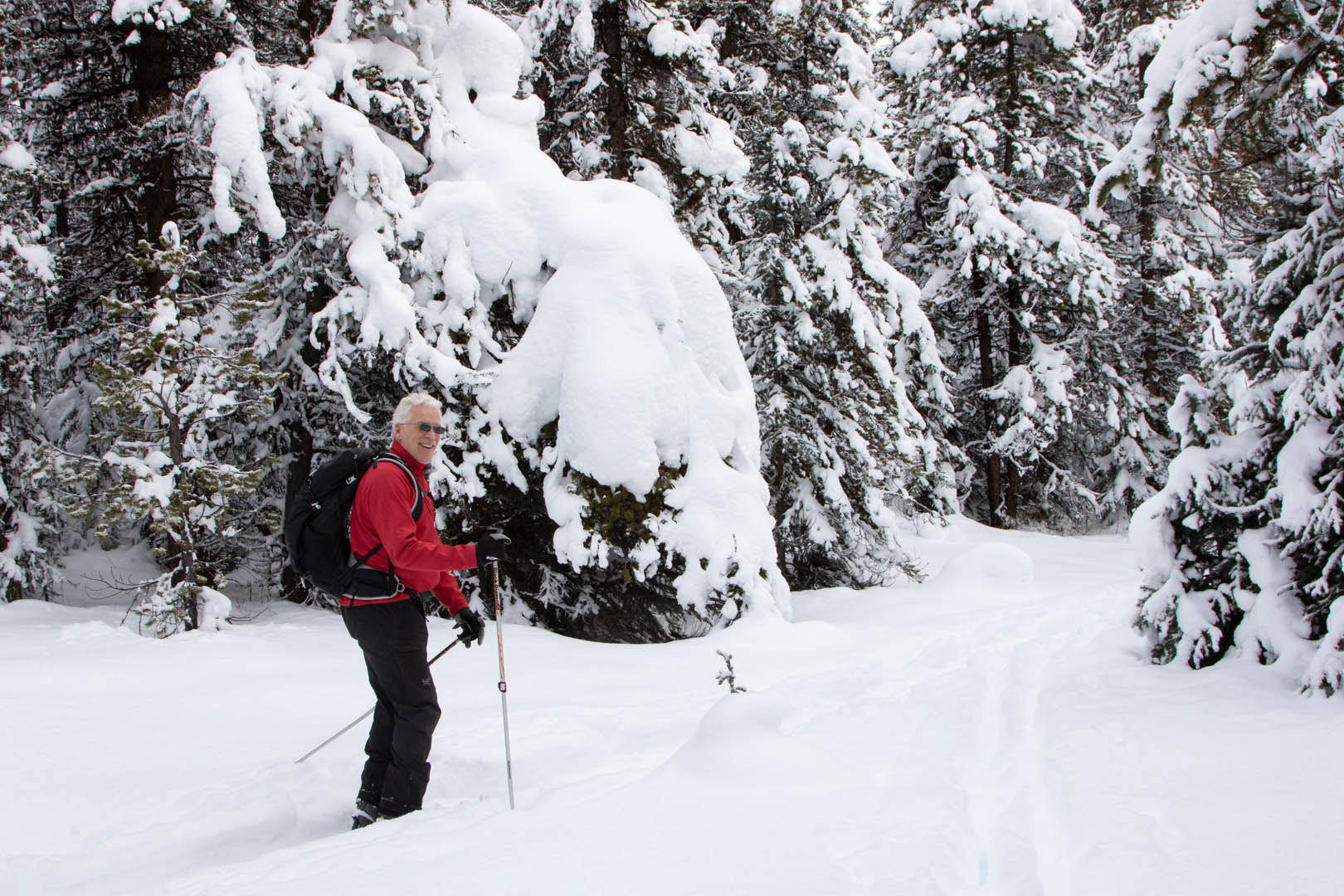 Ski Tour Upper Moose Lake Loop | All about Jasper National Park