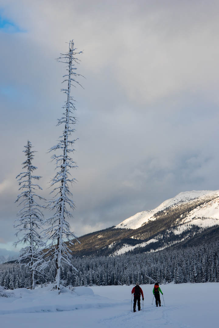 Ski Tour Upper Moose Lake Loop | All about Jasper National Park