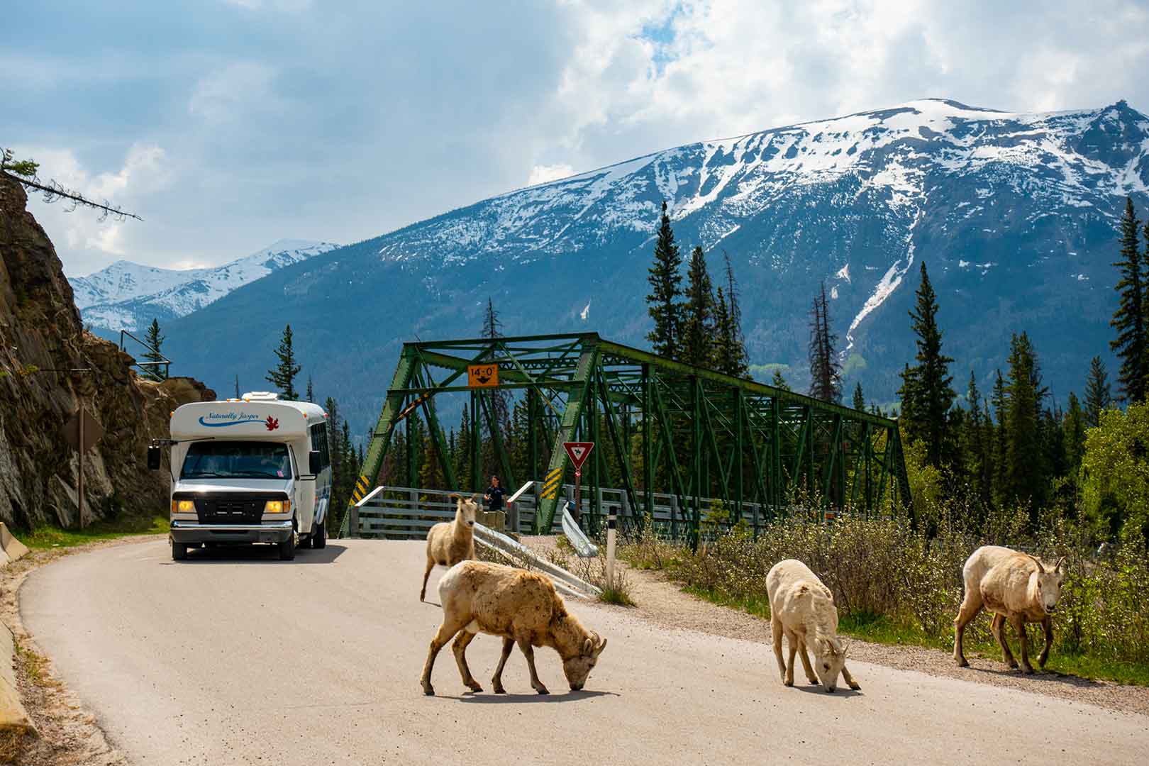 Old Fort Point | All about Jasper National Park