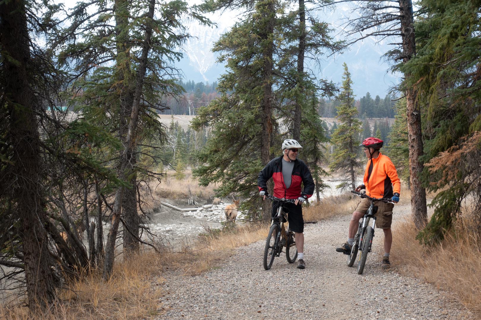 Biking Red Squirrel Trail | All about Jasper National Park