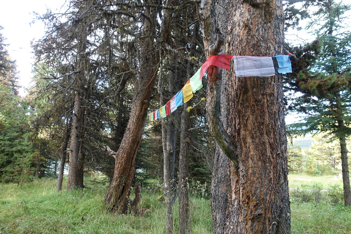 Mary Schaffer Loop | All about Jasper National Park