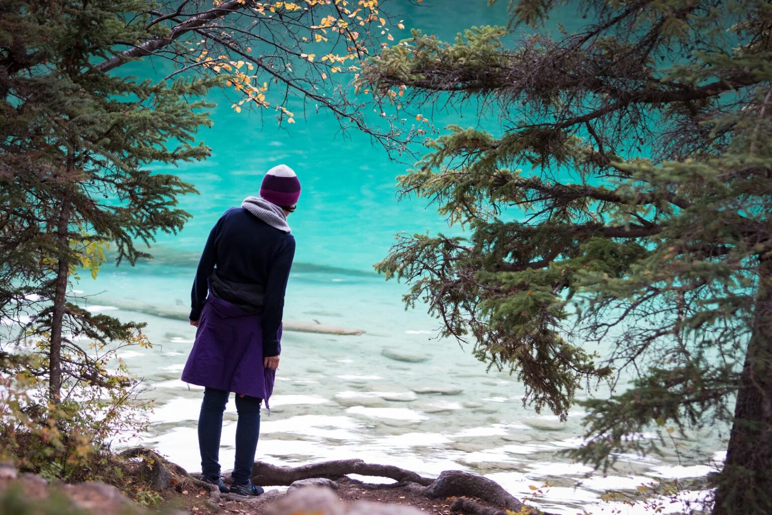 Maligne Lake | All about Jasper National Park