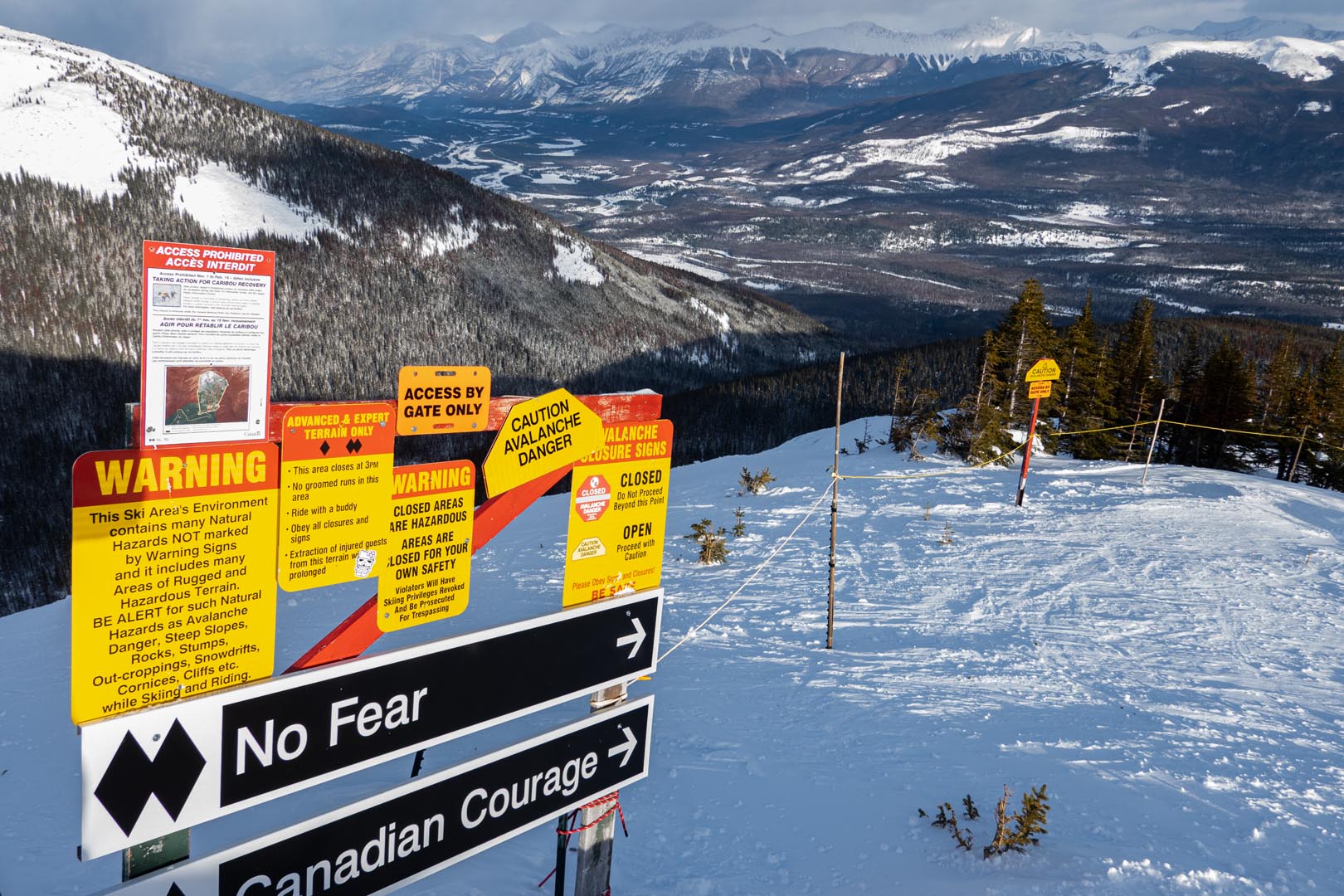 Marmot Basin | All about Jasper National Park
