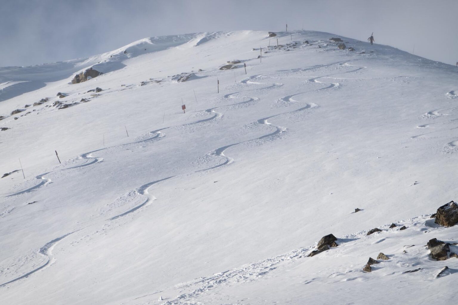 Marmot Basin | All about Jasper National Park