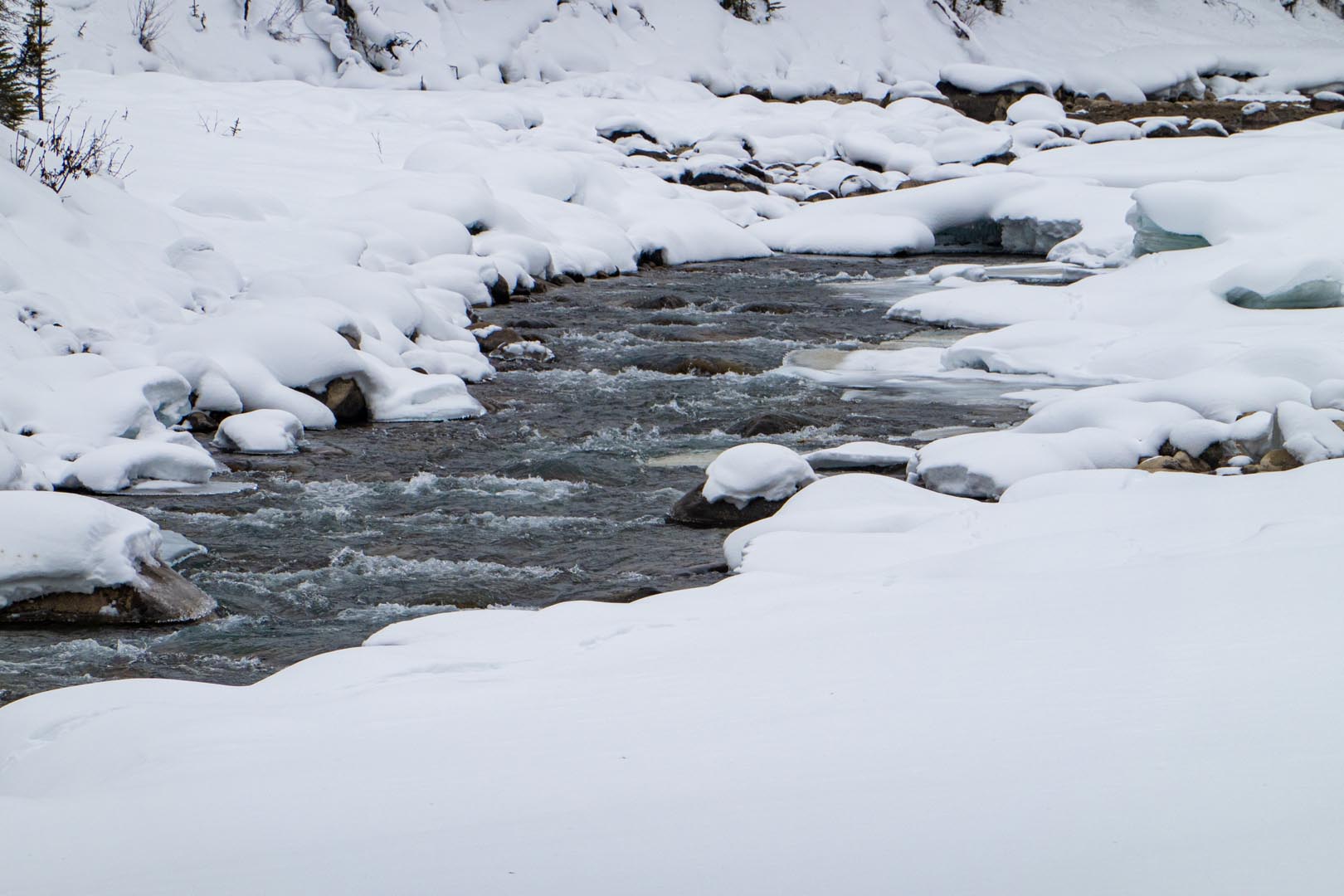 Cross-Country Ski Moab Lake | All about Jasper National Park
