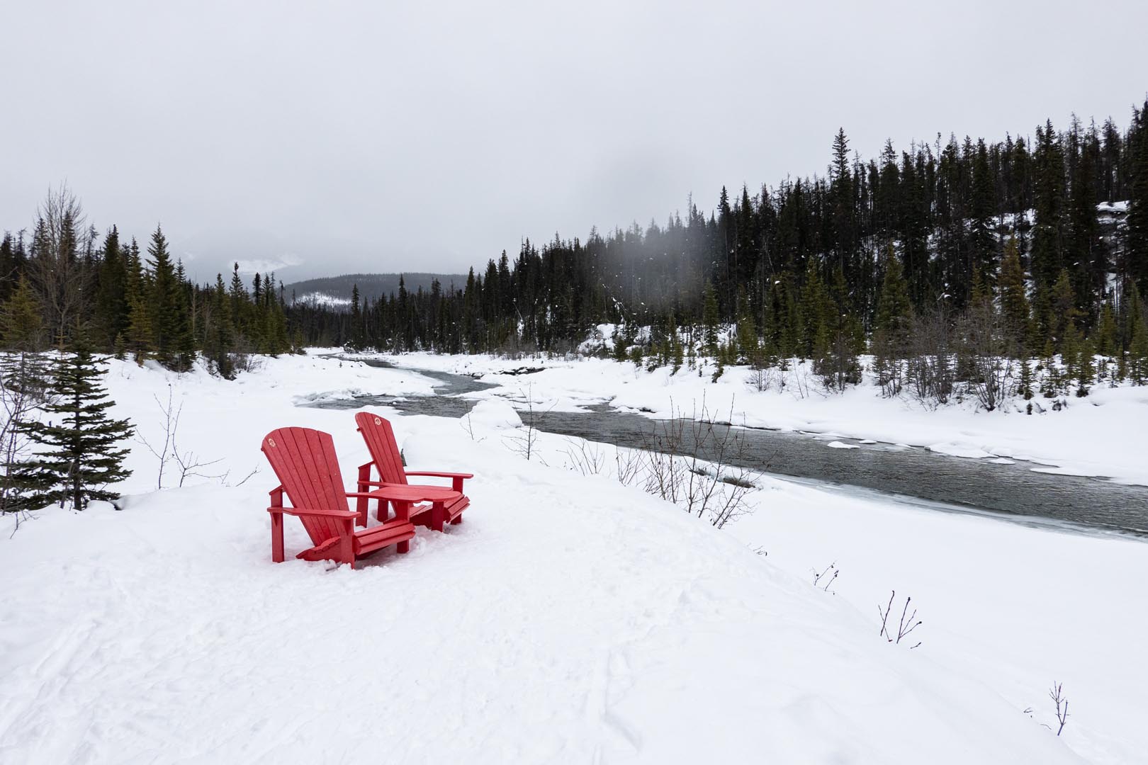 Cross-Country Ski Moab Lake | All about Jasper National Park