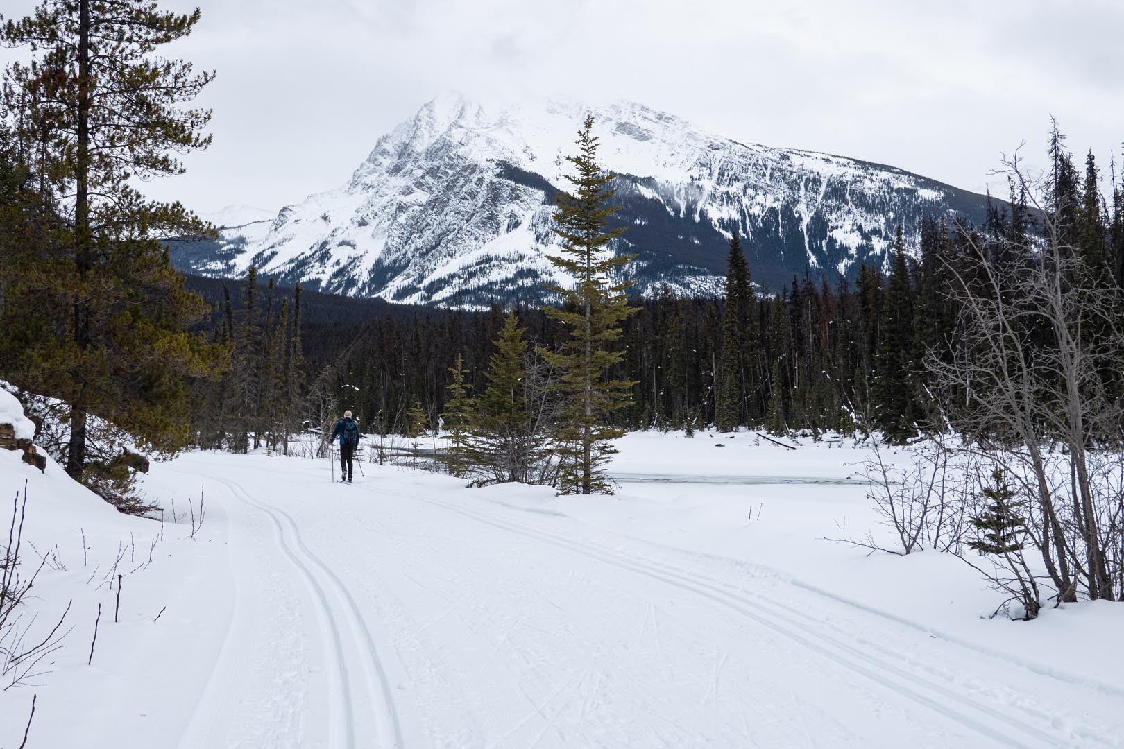 Cross-Country Ski Moab Lake | All about Jasper National Park