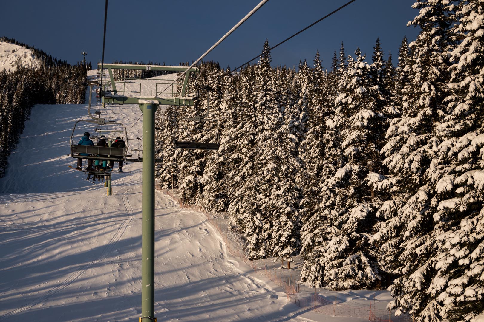 Marmot Basin | All about Jasper National Park