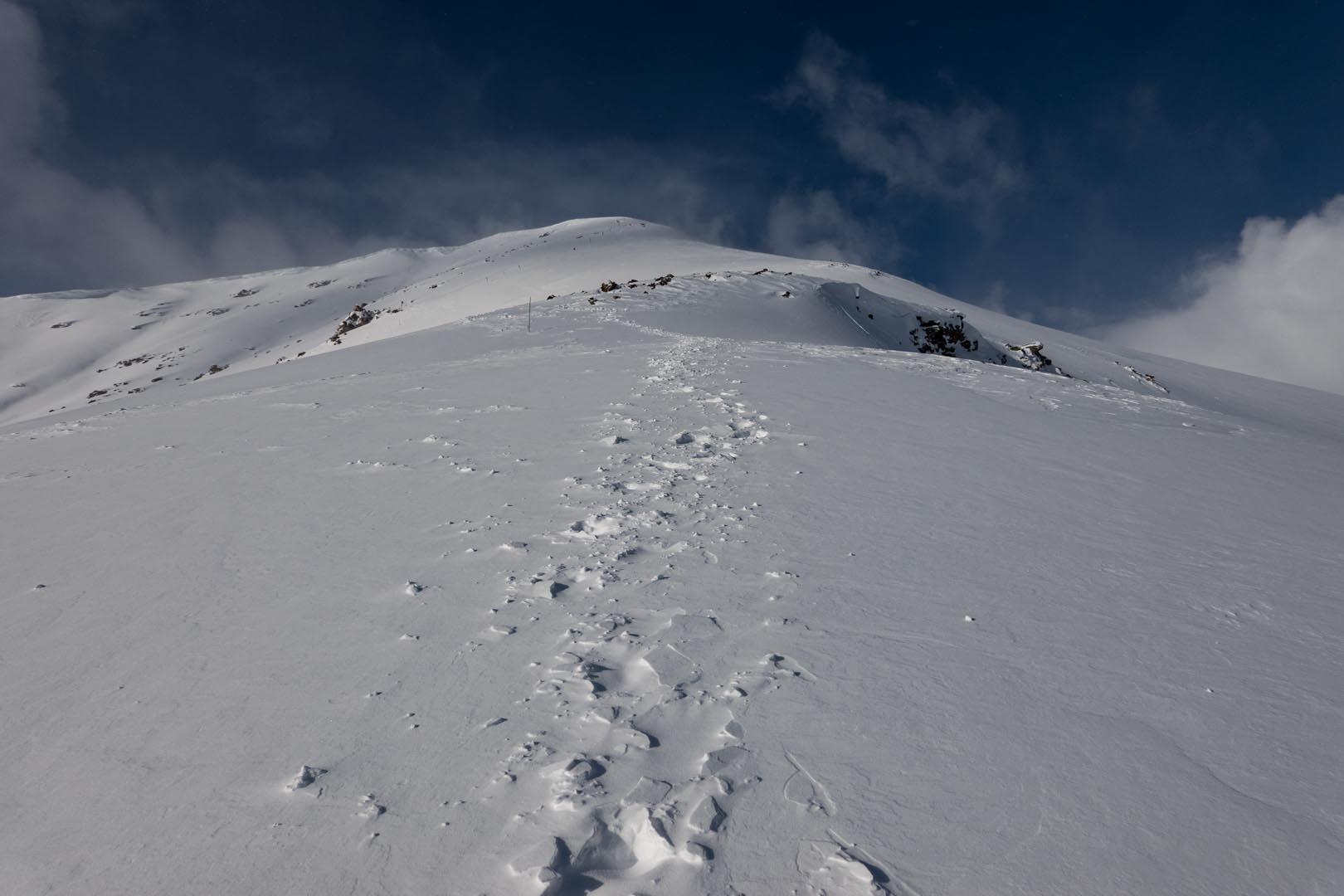 Marmot Basin | All about Jasper National Park