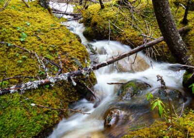 Hiking Geraldine Lakes | All about Jasper National Park