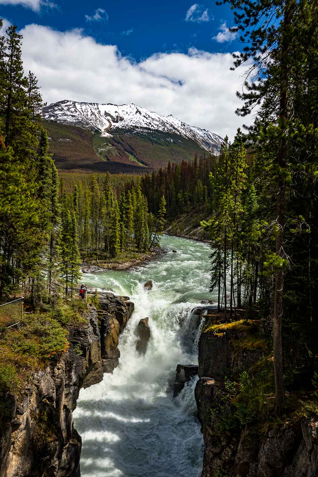 Sunwapta Falls | All about Jasper National Park