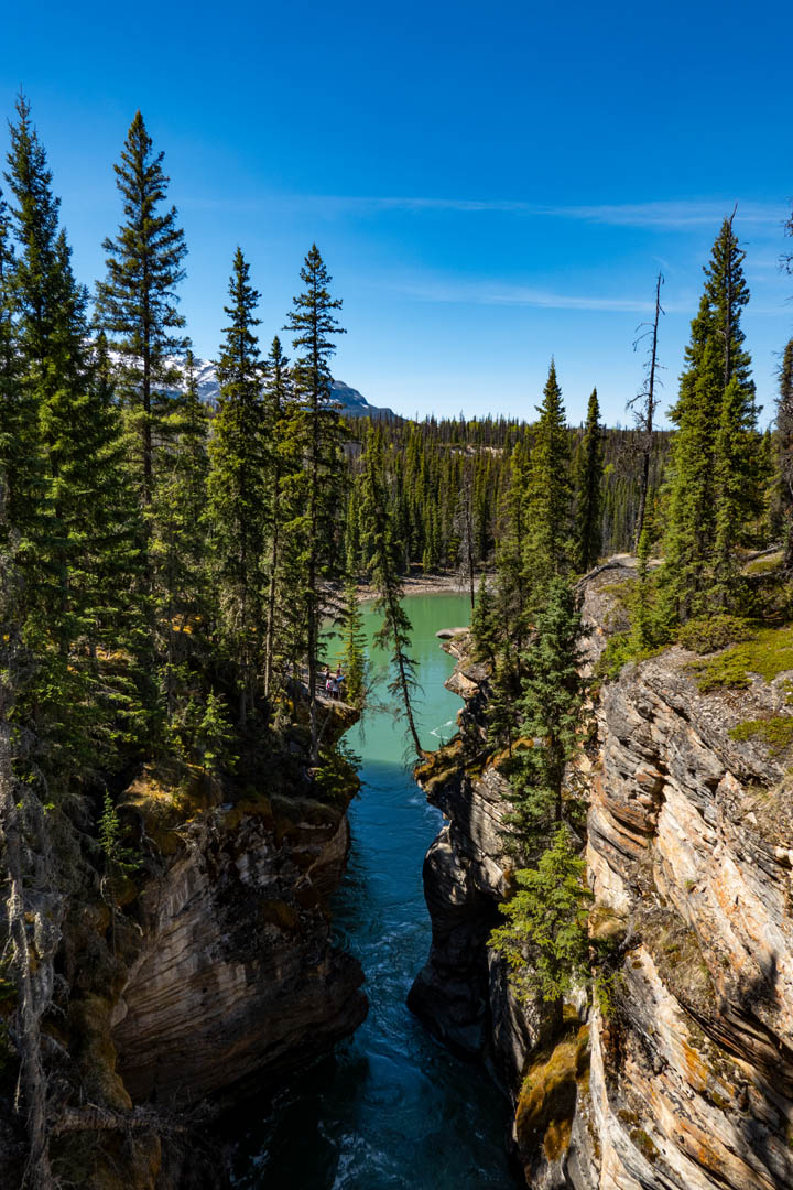 Athabasca Falls | All about Jasper National Park