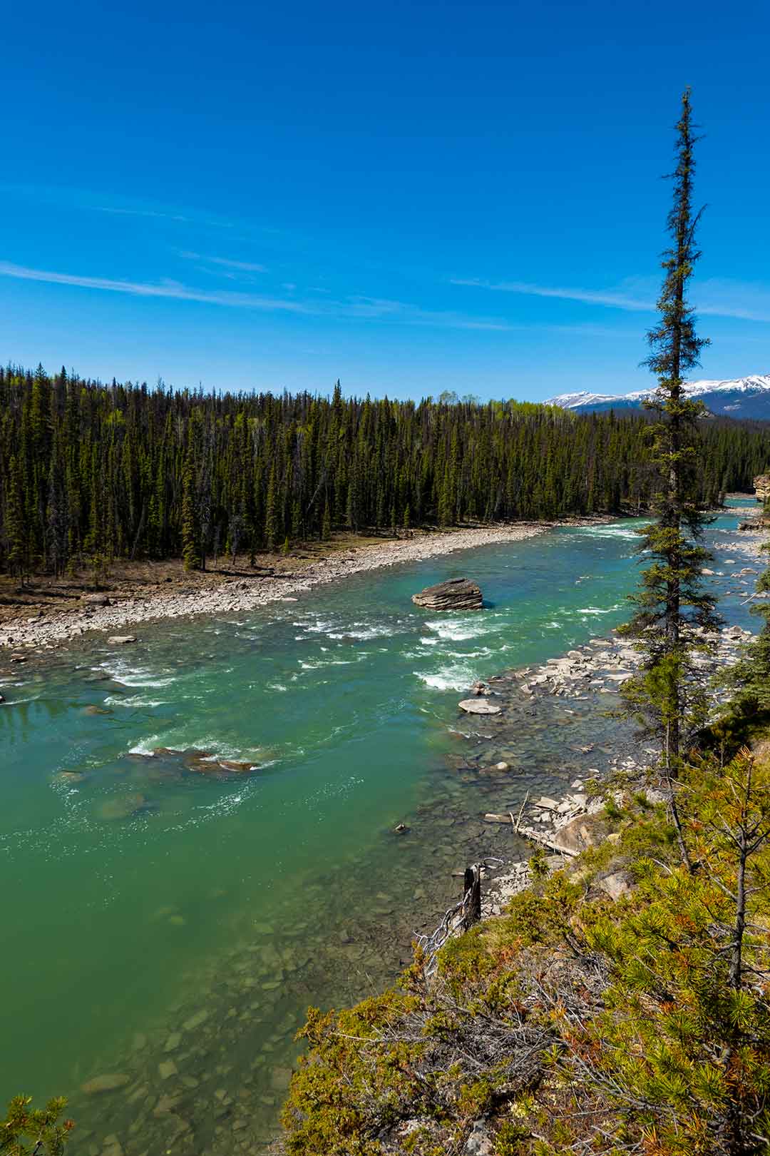 Athabasca Falls | All about Jasper National Park