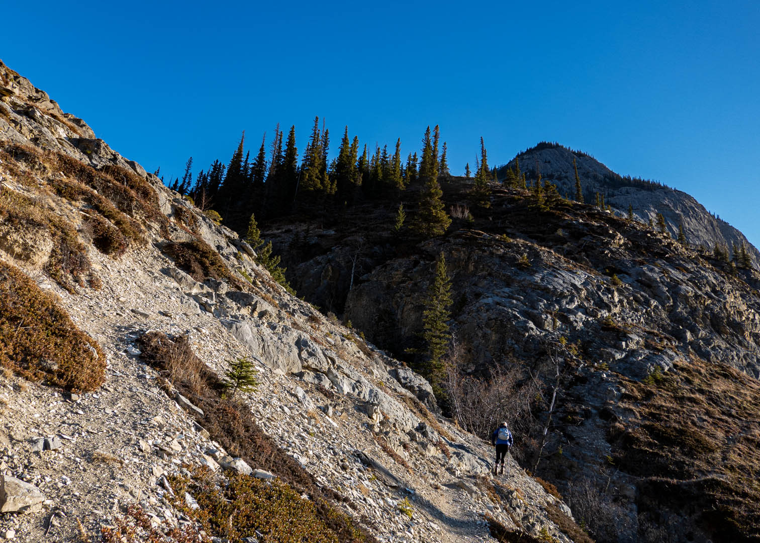 Hiking Hidden Valley | All about Jasper National Park