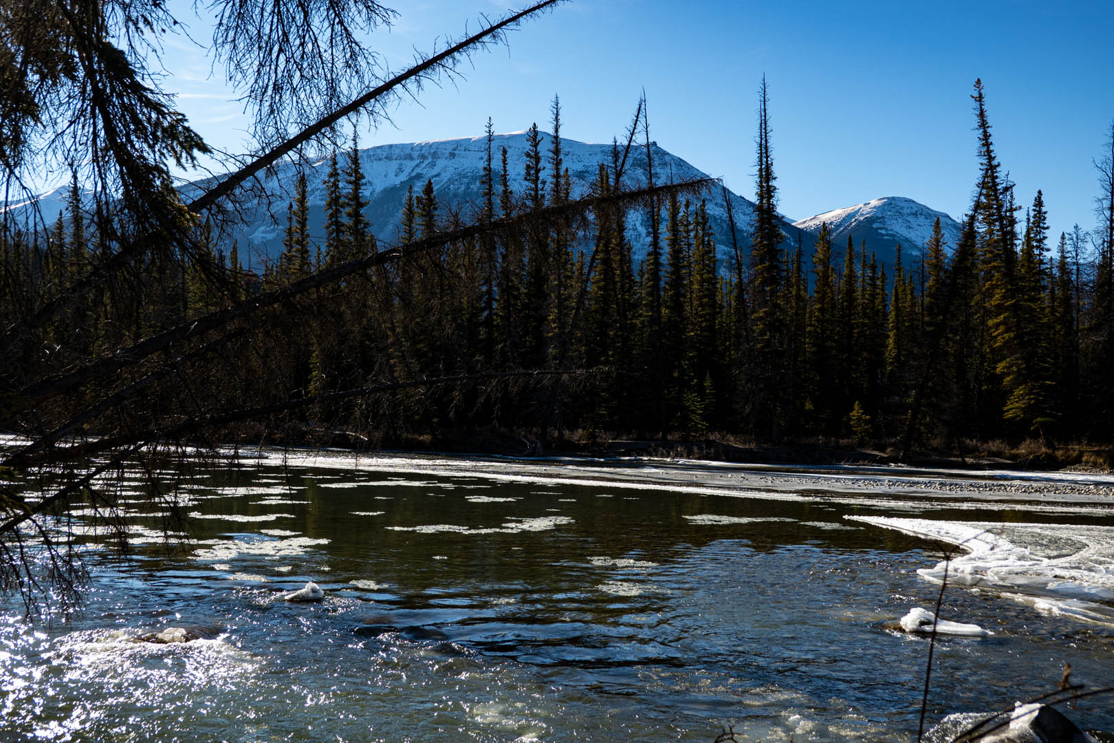 Hiking Trail 1 Red Chair | All about Jasper National Park