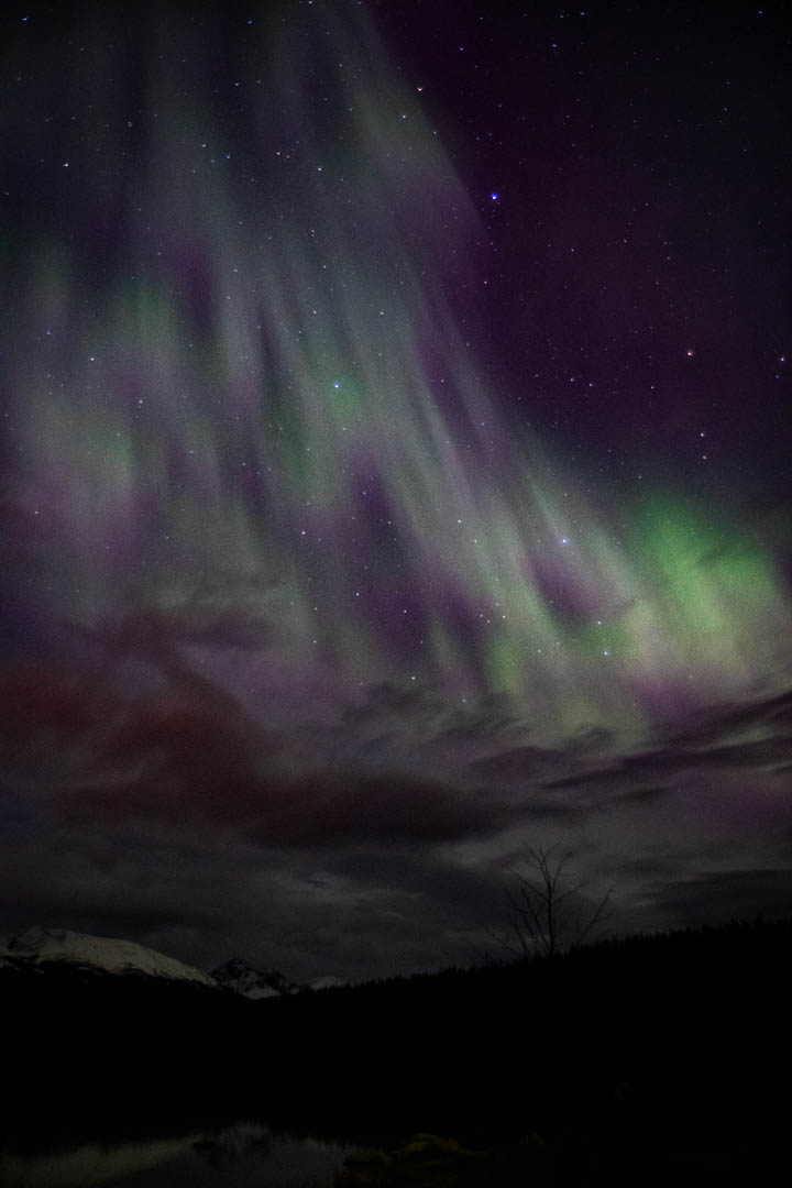 Northern Lights | All about Jasper National Park