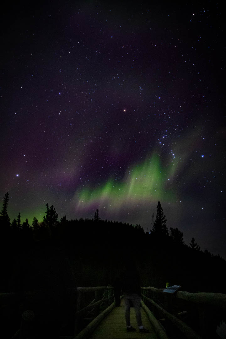 Northern Lights | All about Jasper National Park