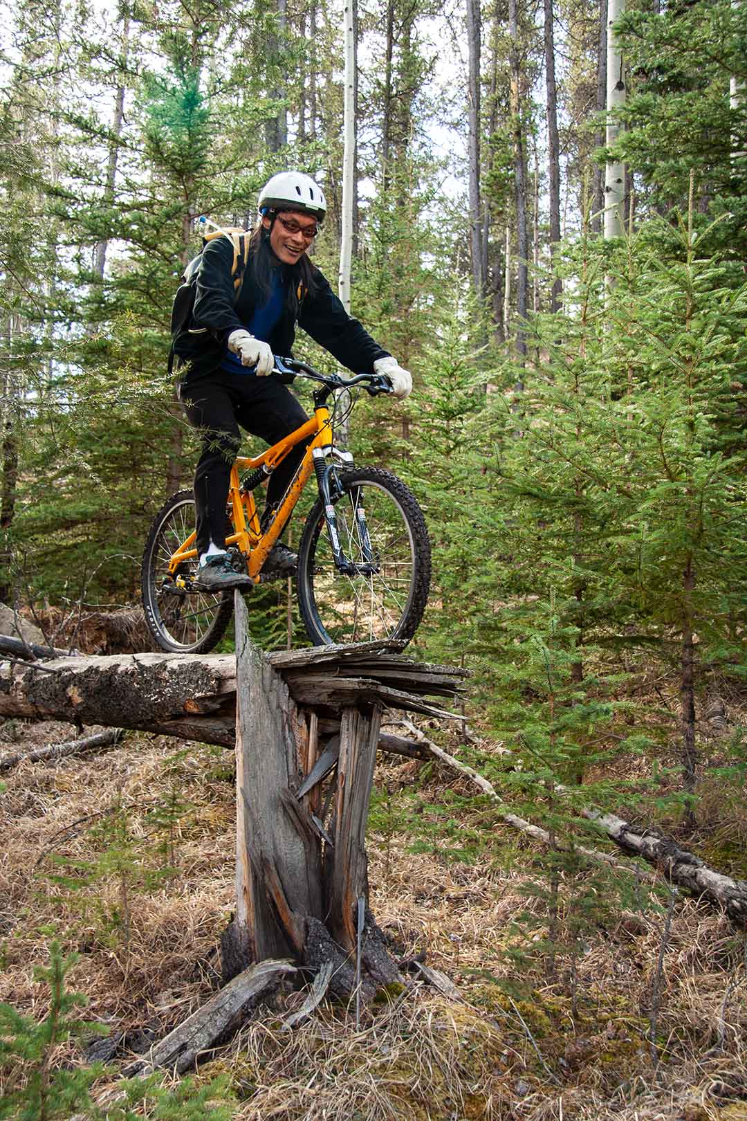 Biking Trail 2 | All about Jasper National Park