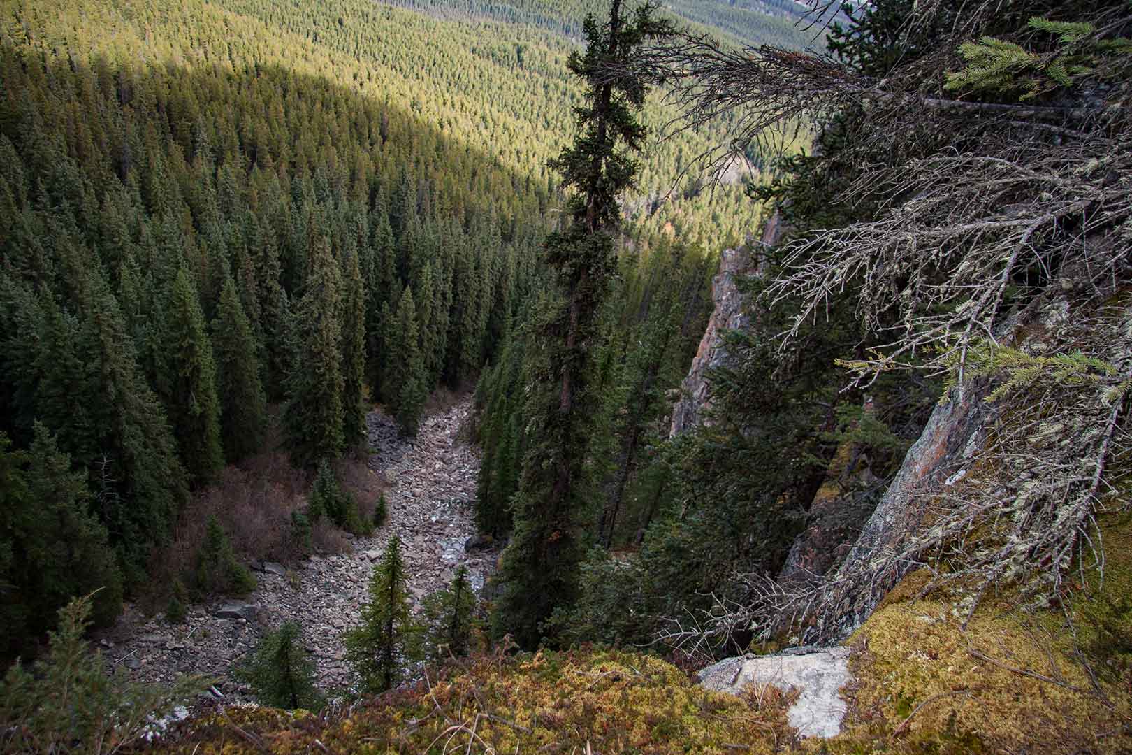 Edge of the World | All about Jasper National Park