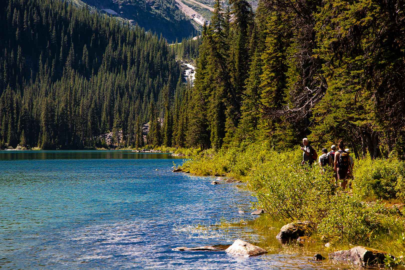 Hiking Geraldine Lakes | All about Jasper National Park