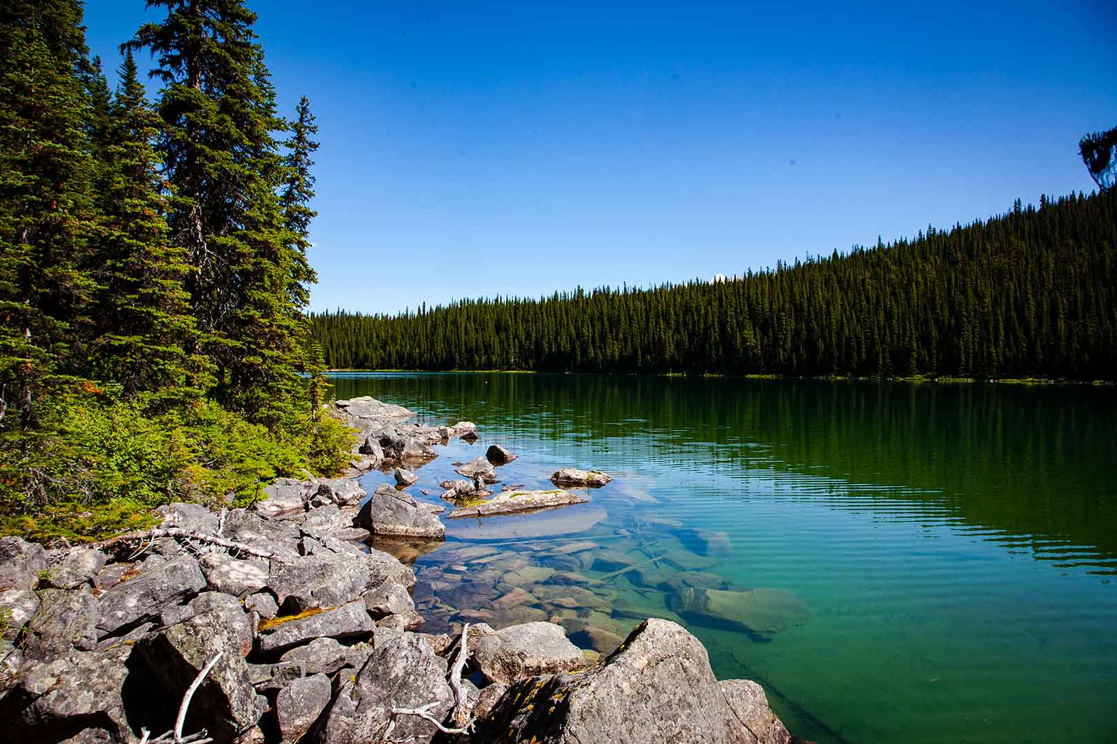 Hiking Geraldine Lakes | All about Jasper National Park