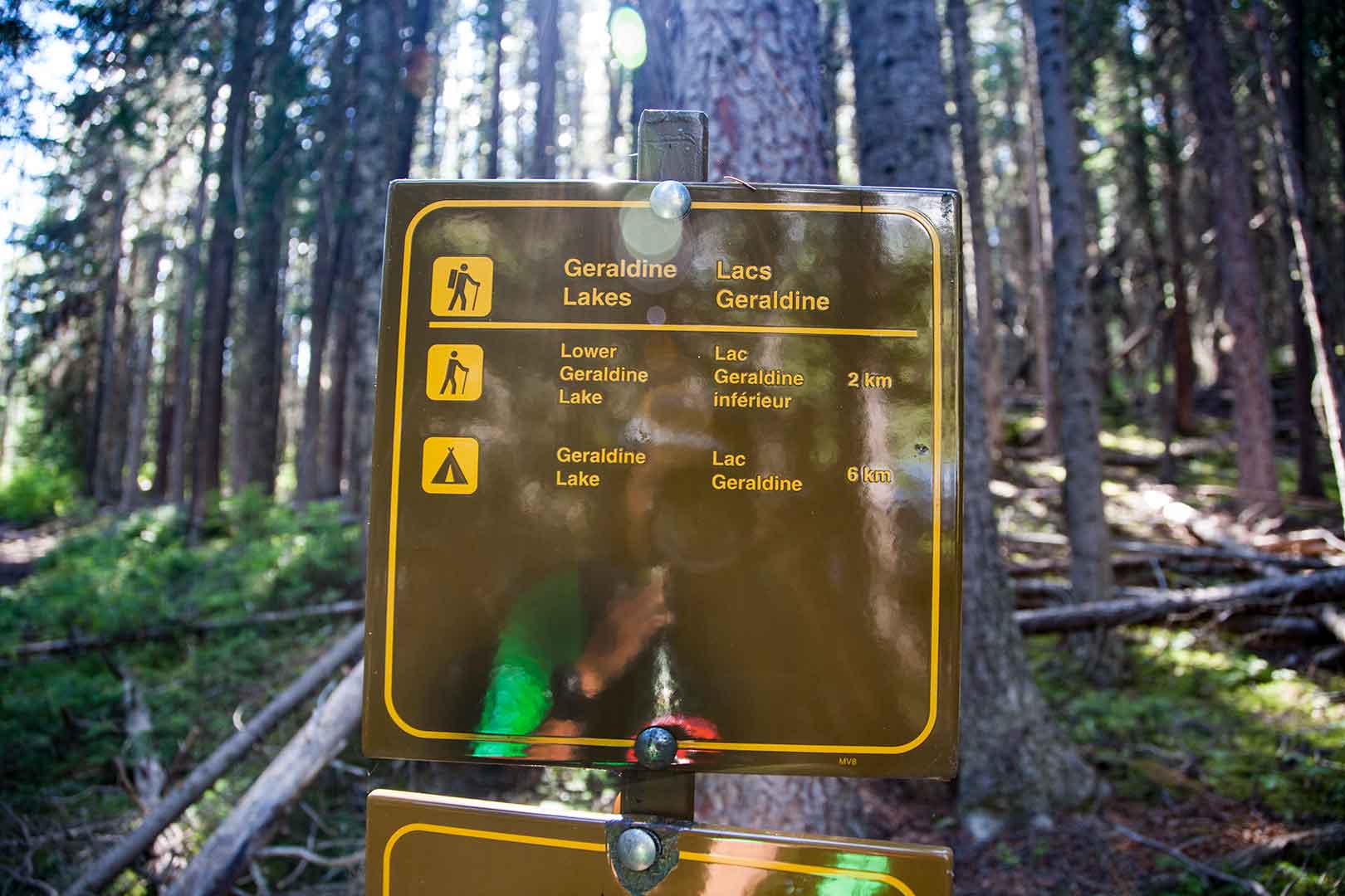 Hiking Geraldine Lakes | All about Jasper National Park