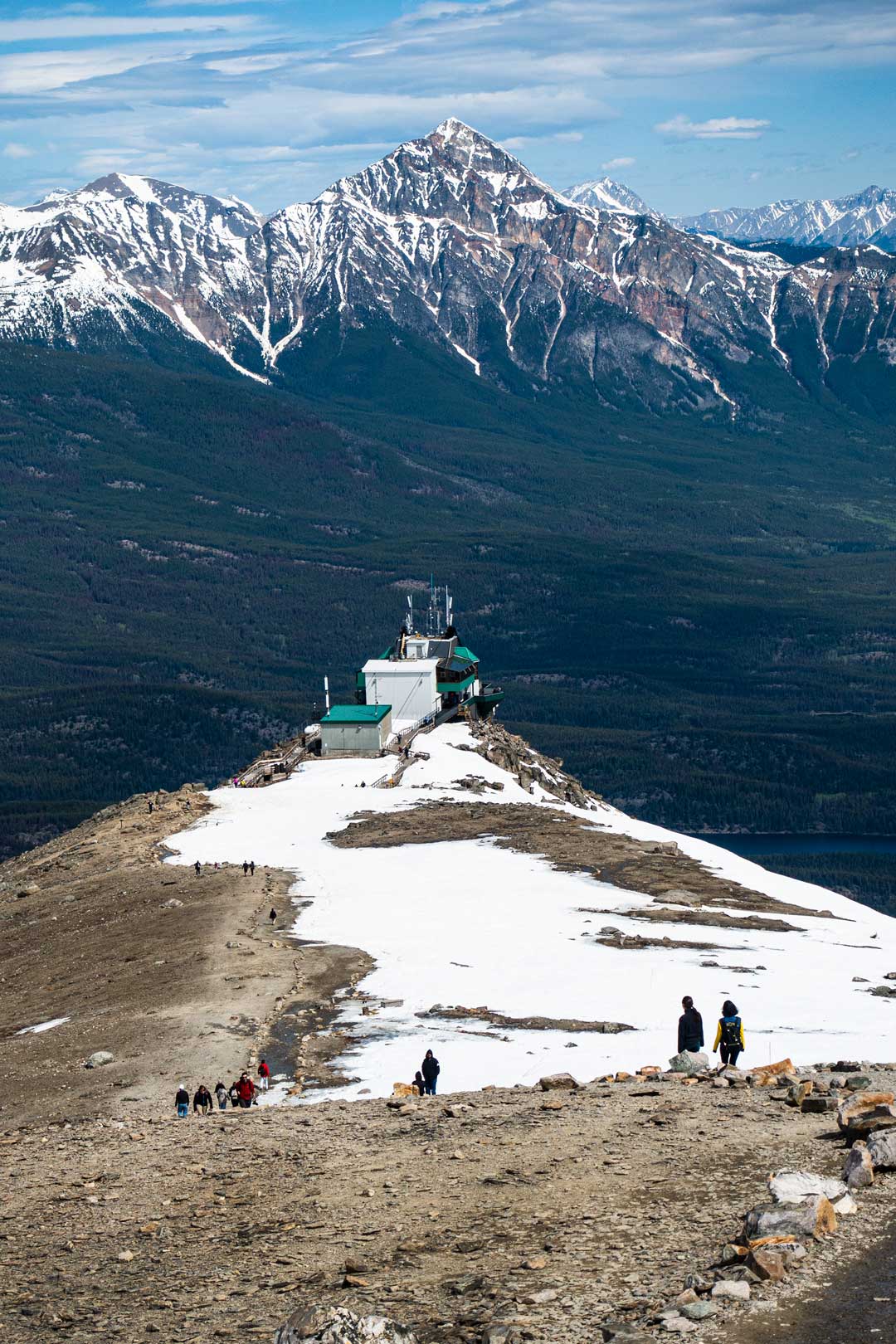 Whistlers Mountain | All about Jasper National Park