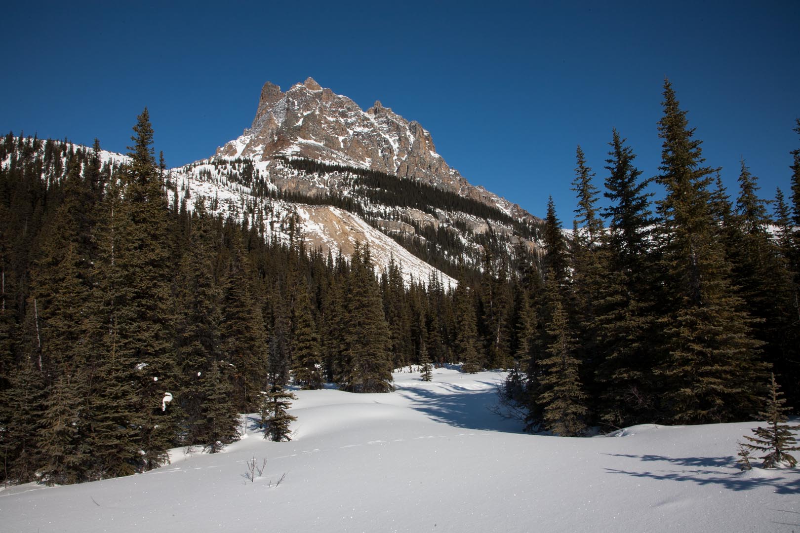 Ski Tour Tonquin Valley | All about Jasper National Park