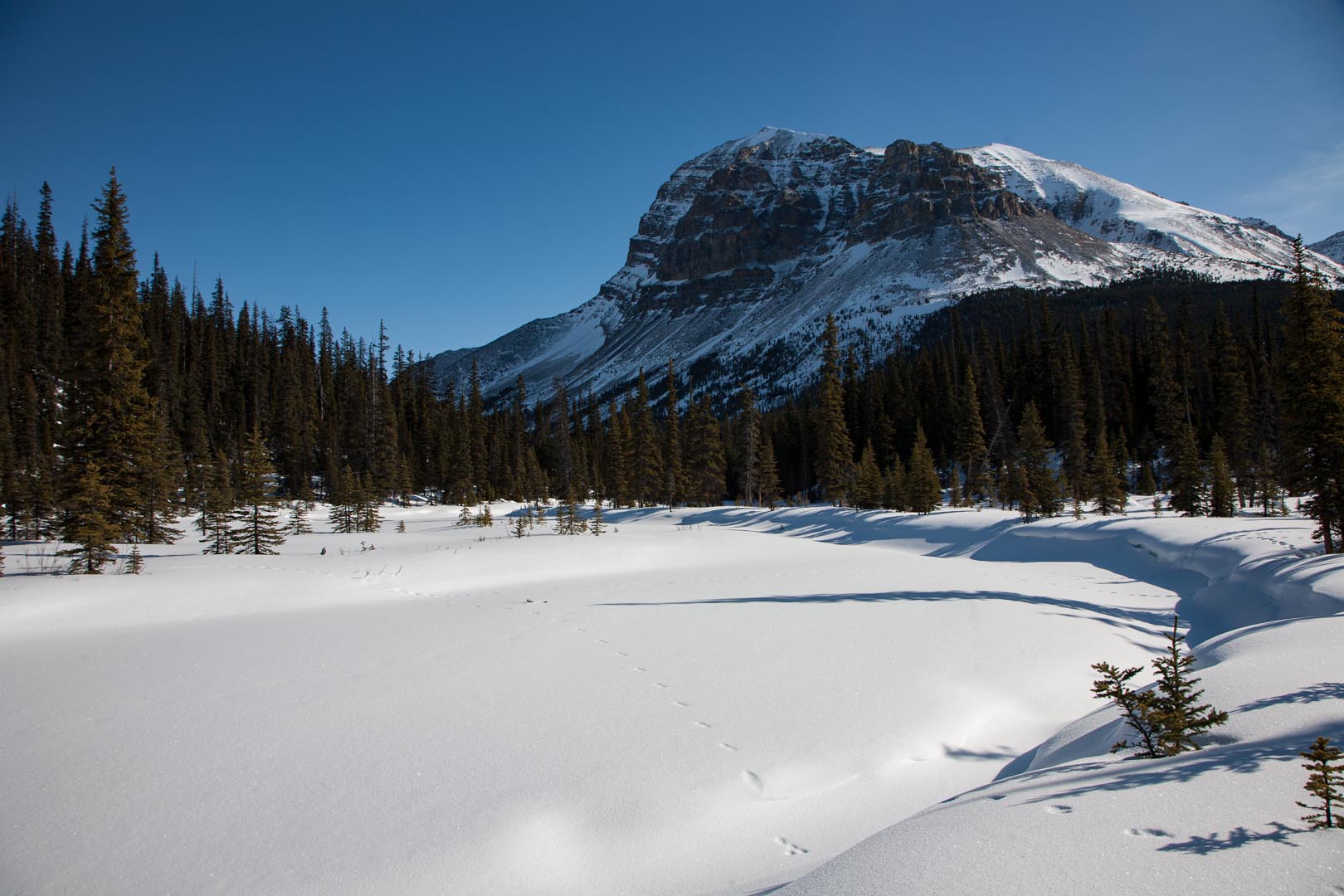 Ski Tour Tonquin Valley | All about Jasper National Park