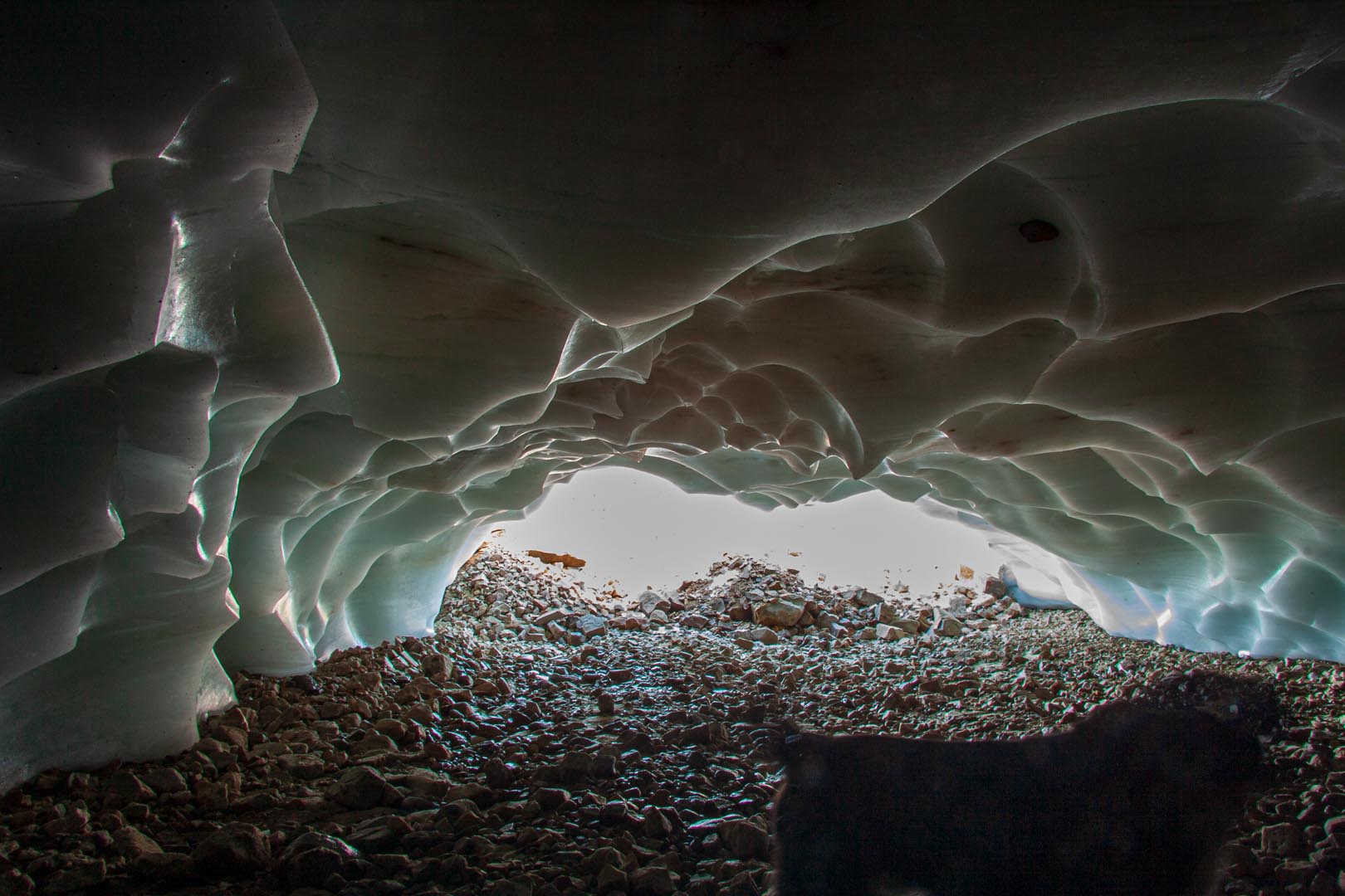 Ice Caves Edith Cavell | All about Jasper National Park