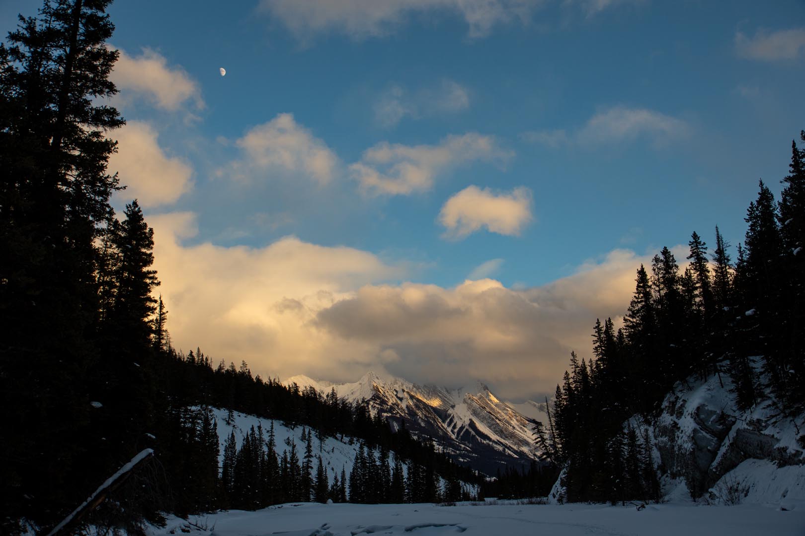 Snowshoe – Snaring River | All about Jasper National Park